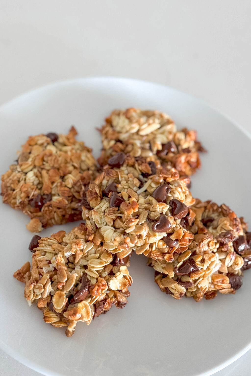 One Bowl Granola Cookies - The Secret Crunch | Homemade Cookies & More