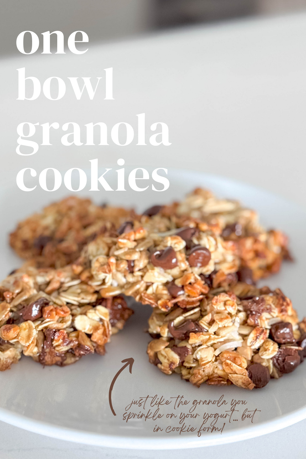 One Bowl Granola Cookies - The Secret Crunch | Homemade Cookies & More